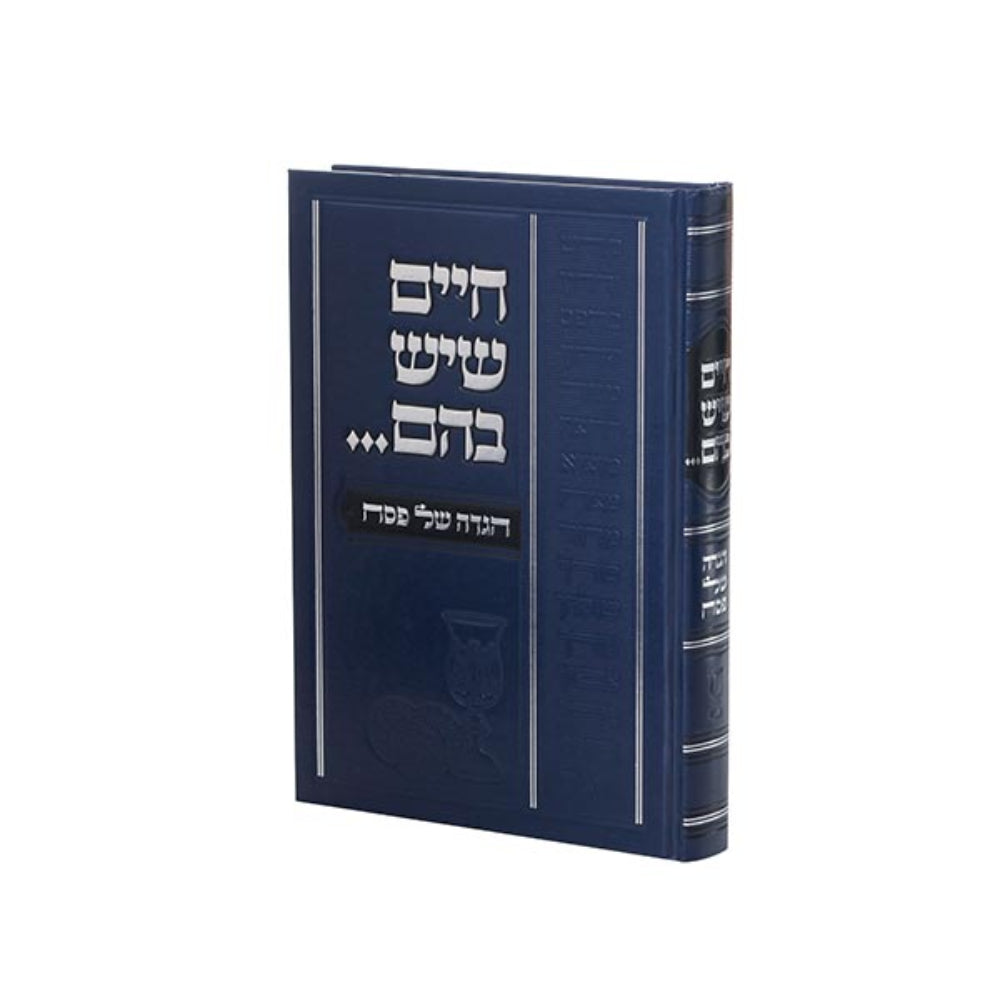 Haggada Shel Pesach Chaim Sheyesh Bahem - הגדה של פסח חיים שיש בהם ...